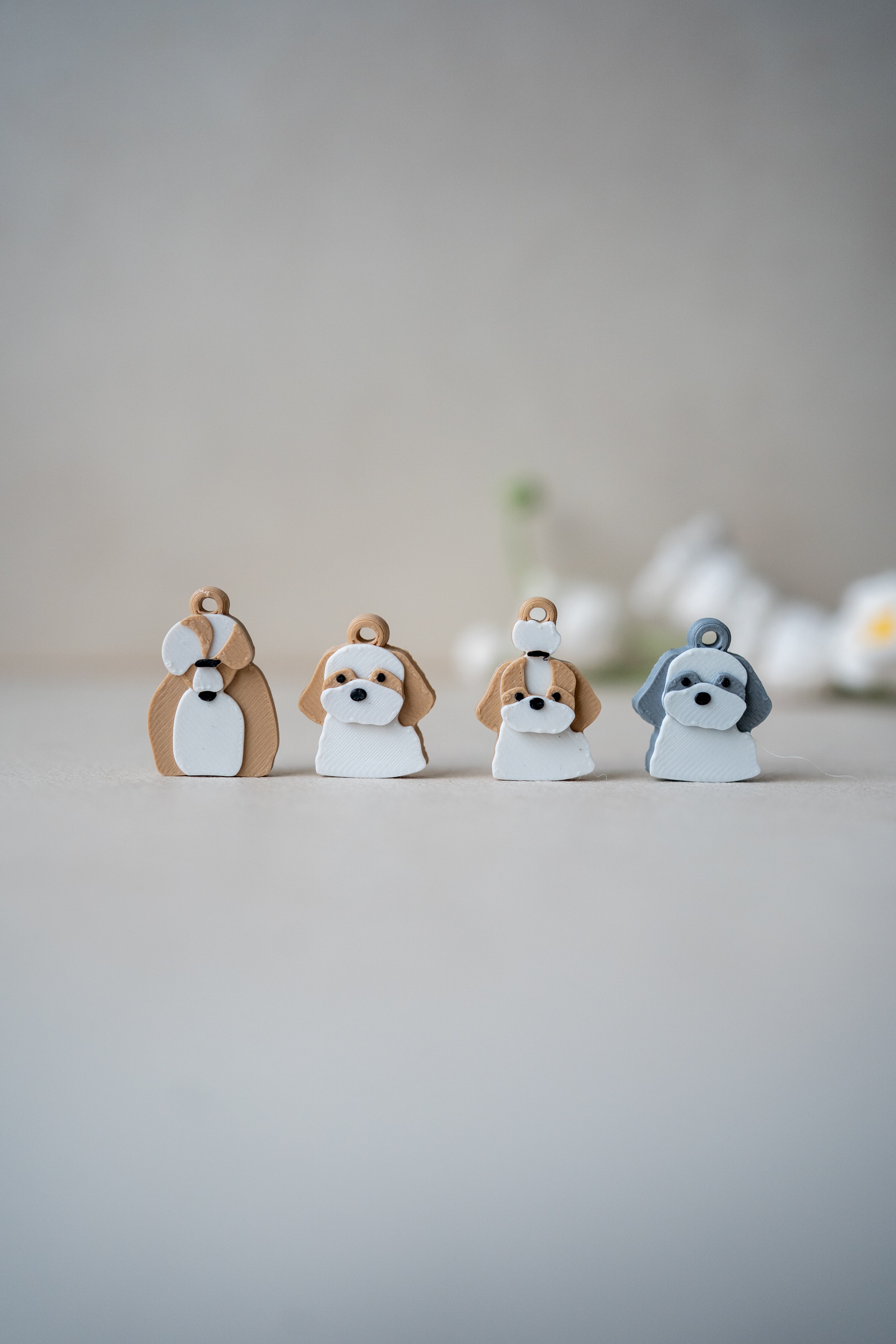 Prosopa | Shih Tzu – Elyand.collective